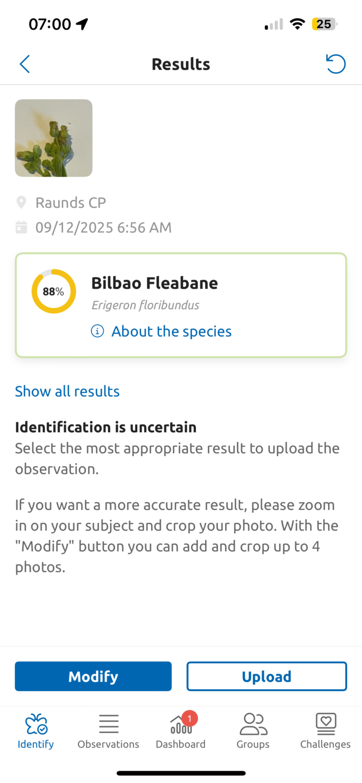 A tale of (one, two, three, four) fleabanes – Mark Avery